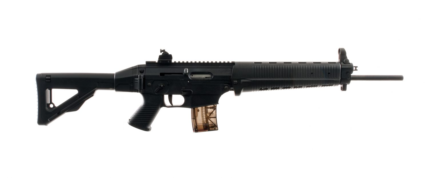 Sig Sauer SIG22SCM .22LR Semi Auto Rifle - CT Firearms Auction